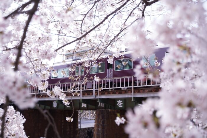 Hankyu Tourist Pass: Where To Buy & Is It Worth It In 2023?