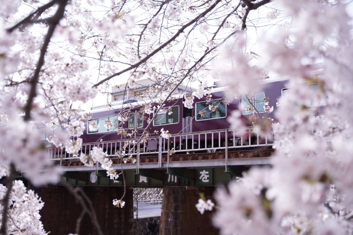 Hankyu Tourist Pass: Where To Buy & Is It Worth It In 2023?