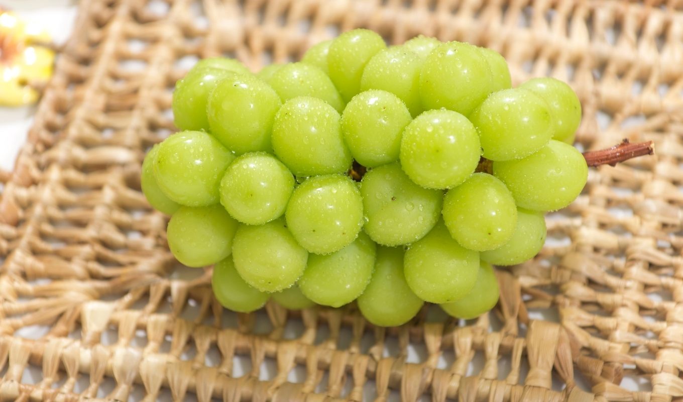 Japanese Wine 101