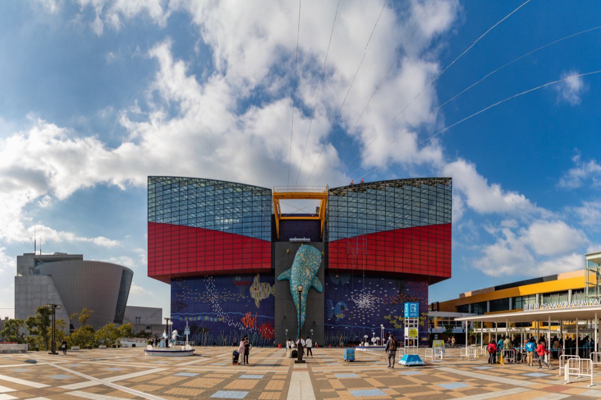 Osaka Aquarium Kaiyukan: Ticket Prices, Tips & The Whale Sharks