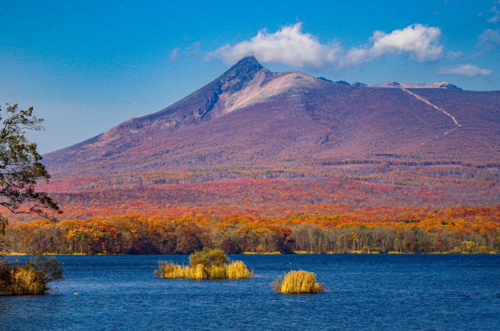 Things To Do In Hakodate