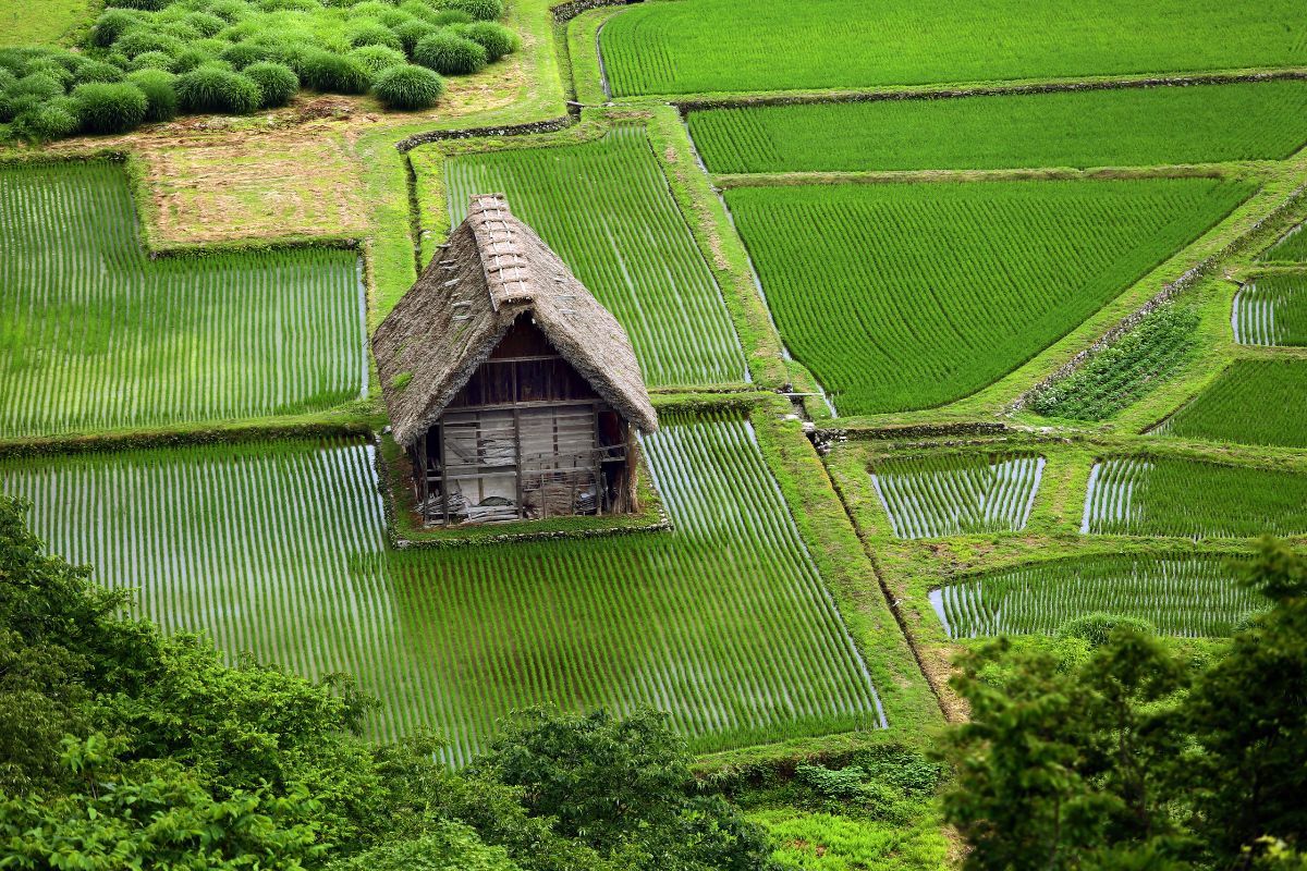 The Gassho Style Houses Of Central Japan