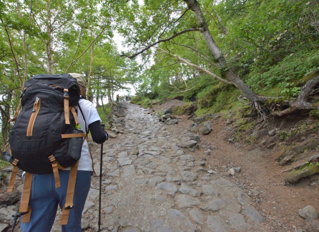 Popular Recreational Activities In Japan For 2023