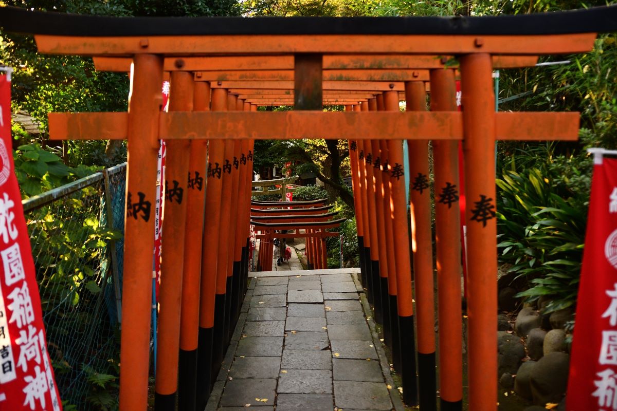 Things To Do In Tokyo In March 2024: Best Tokyo March Events & Festivals