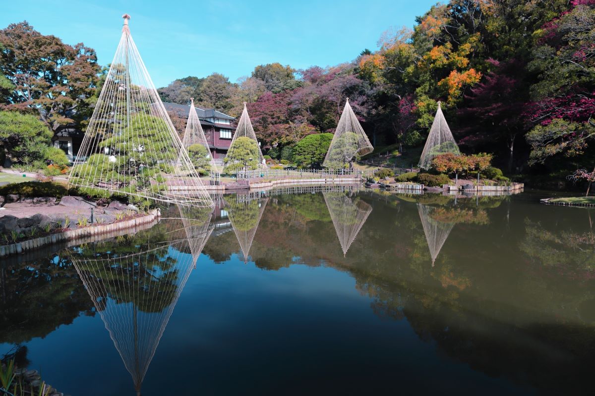 Best Japanese Gardens In Tokyo