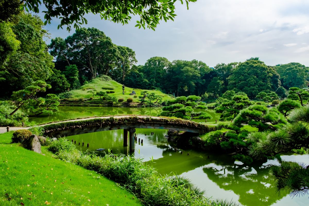 Best Japanese Gardens In Tokyo