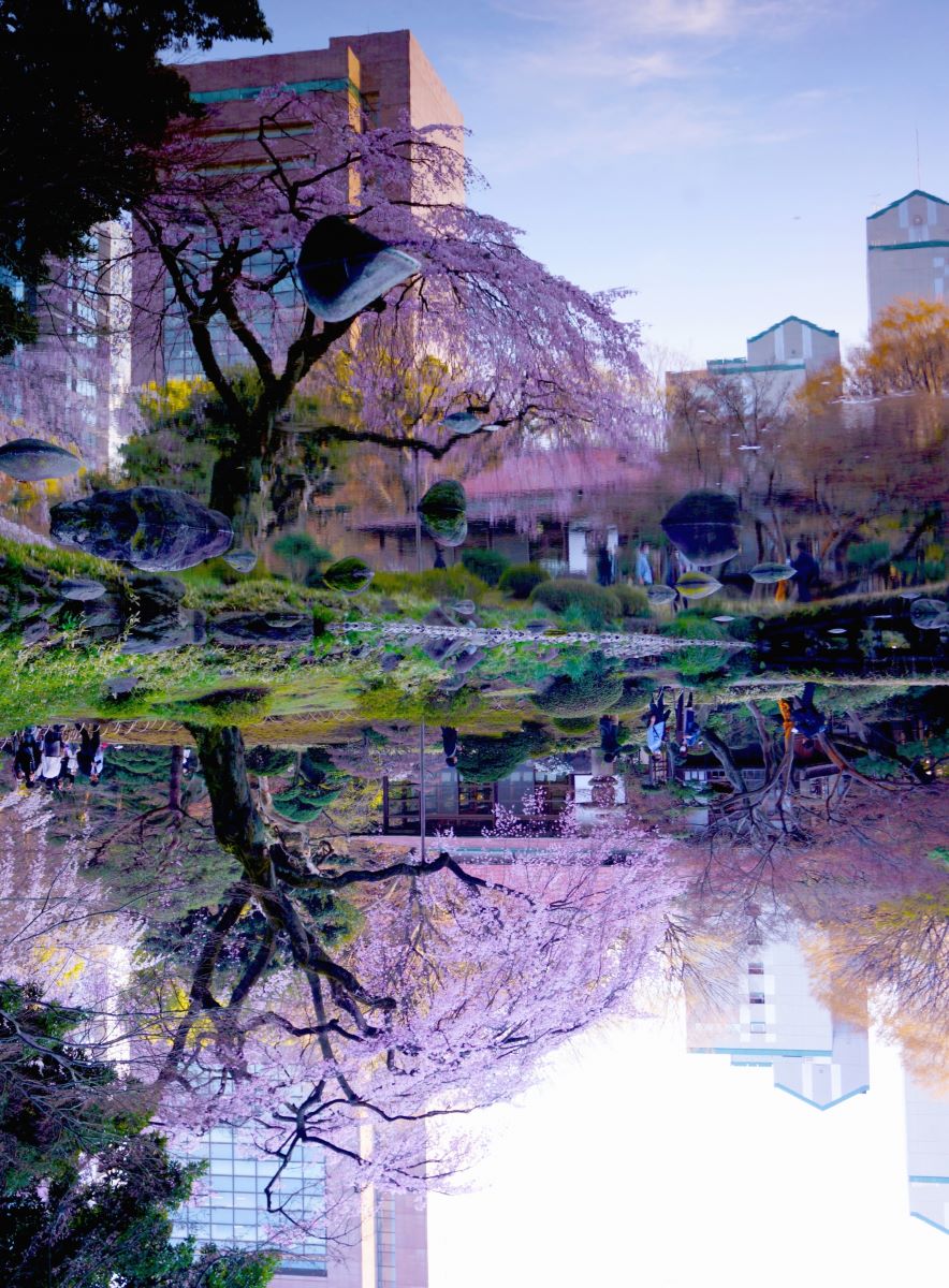 Best Japanese Gardens In Tokyo