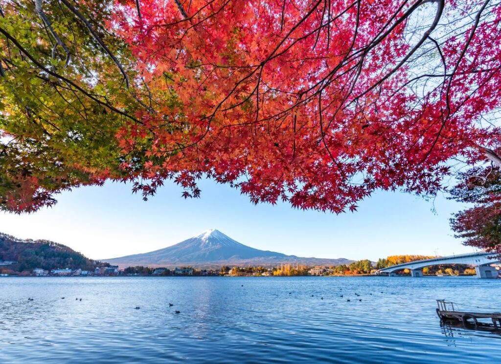 Things To Do At Lake Yamanaka: The Fuji Five Lakes