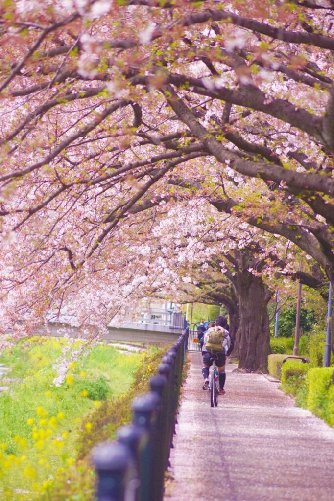 Popular Recreational Activities In Japan For 2023